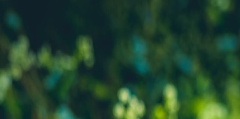 Professional Education & Training | Kaplan Professional